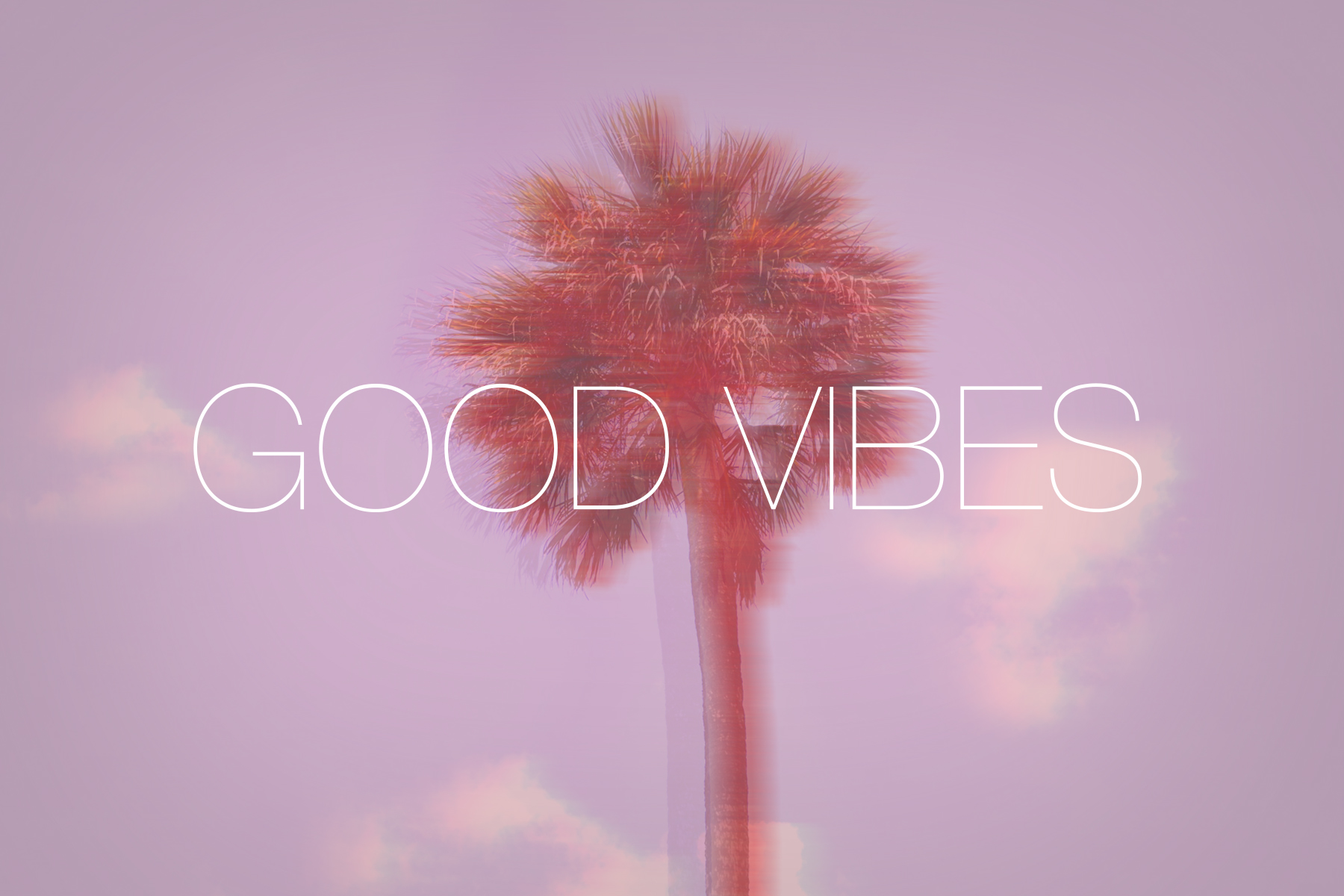 Week 2 of GOOD VIBES! - Camp Announcement! | Oasis In the Water