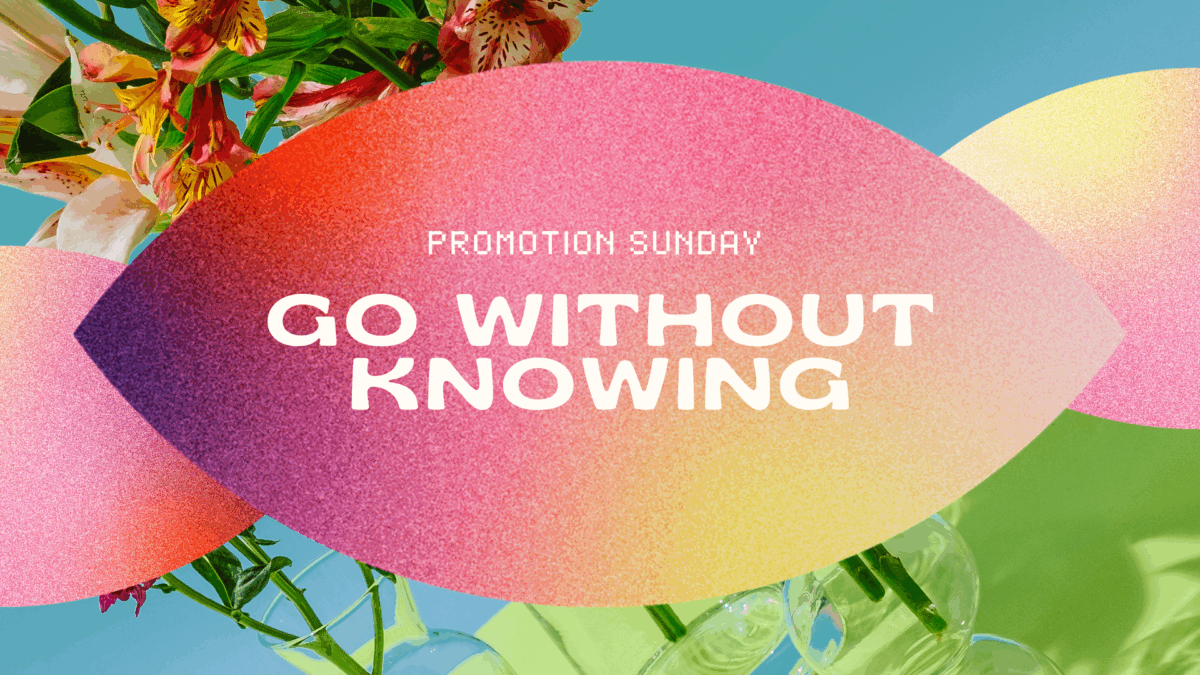 Promotion Sunday Recap – A Day to Celebrate Our Seniors - 2025 - Canyon ...